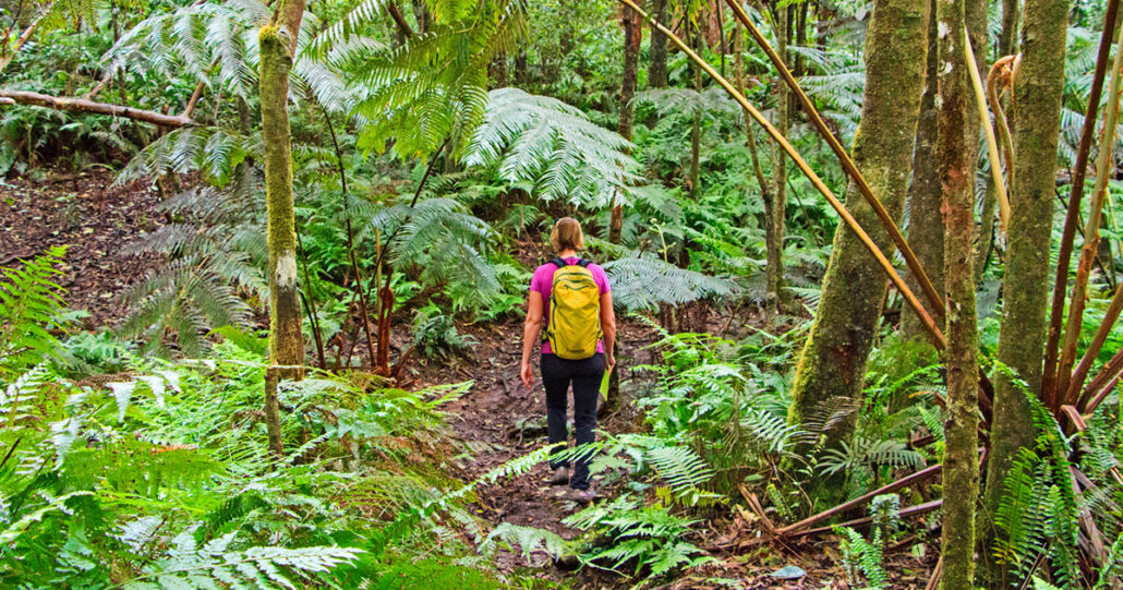 5 Best Hikes to Take on the Big Island | Kohala Coast properties