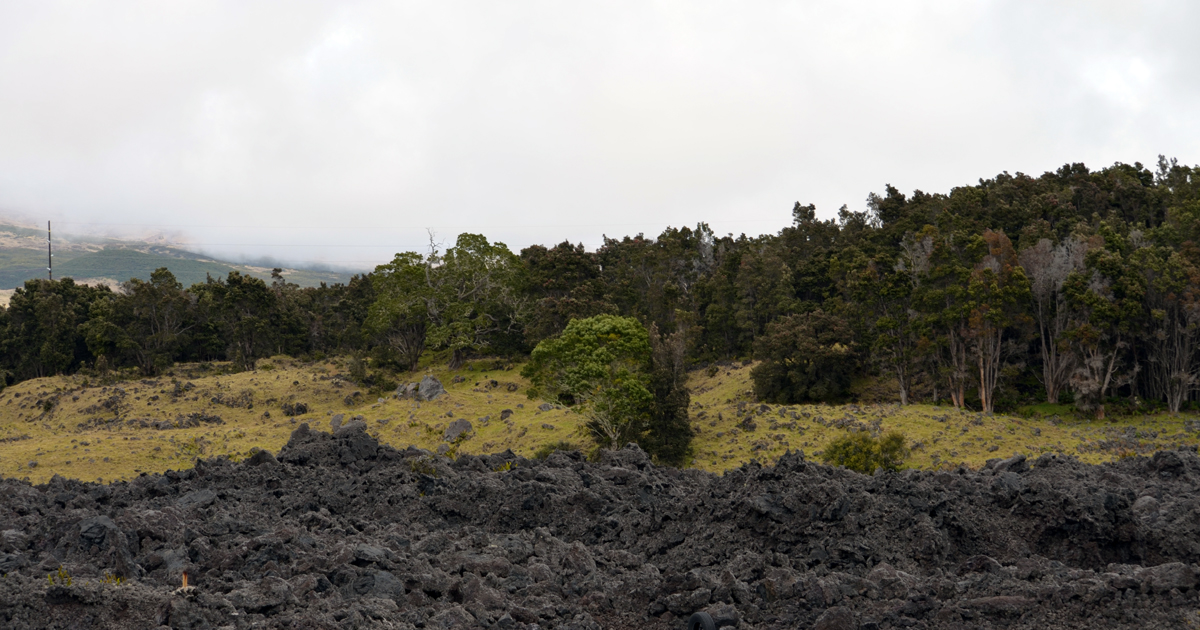 Wonderful Woods of Hawaii | Kohala Coast properties