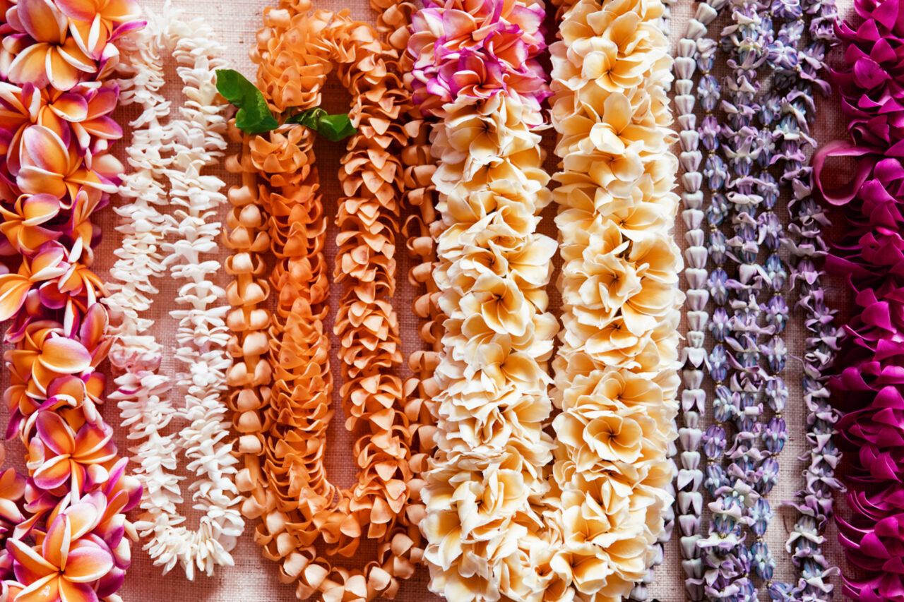 All About Hawaiian Leis: Celebrate May Day the Island Way | Kohala ...