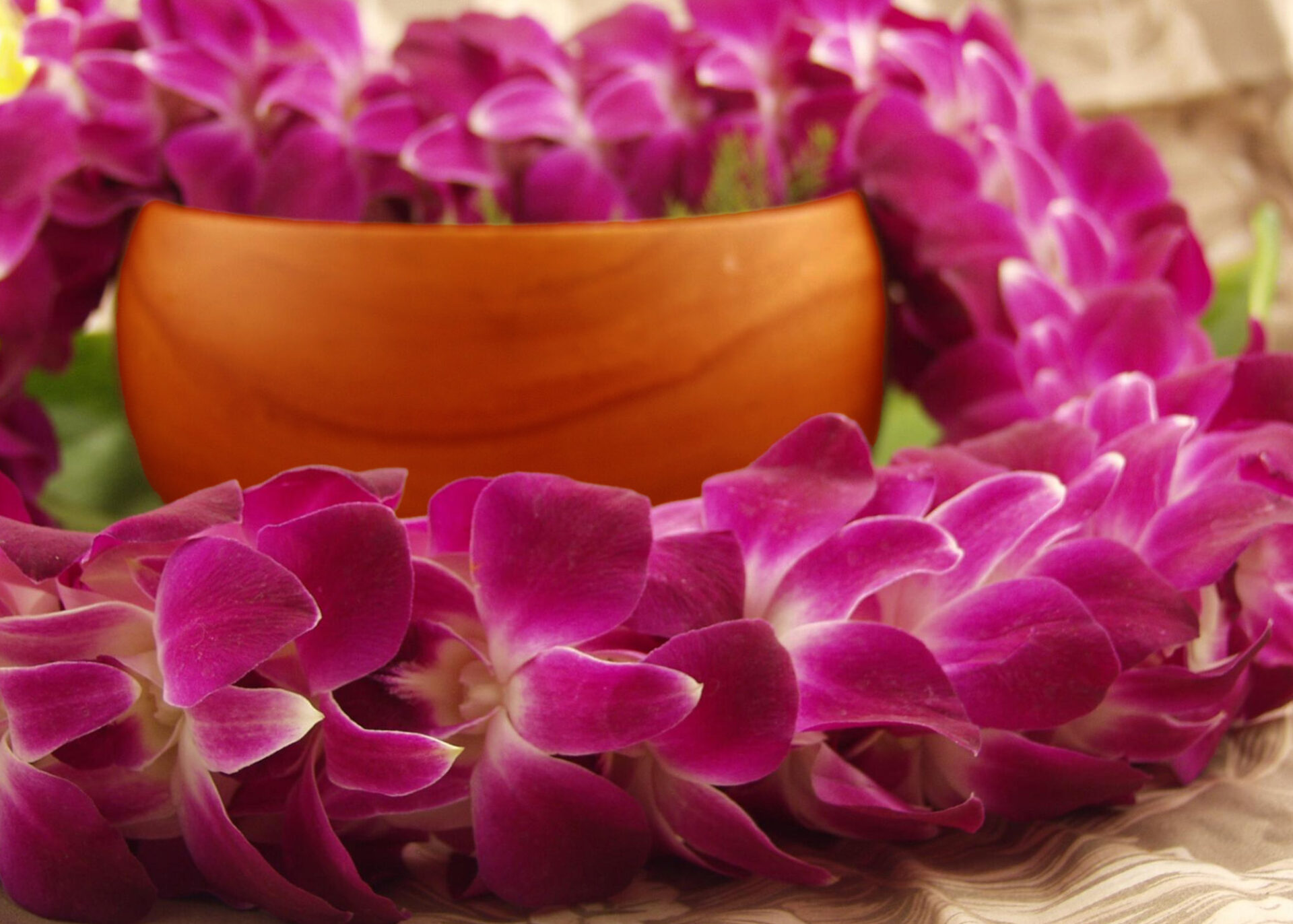 All About Hawaiian Leis: Celebrate May Day the Island Way | Kohala ...